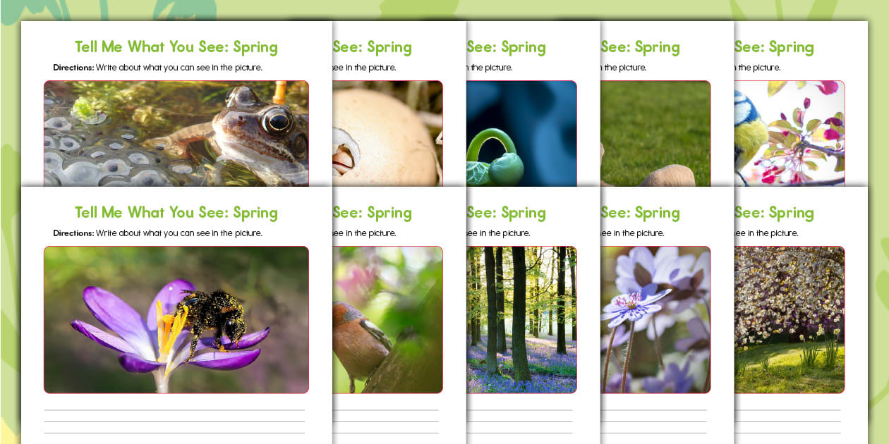 Spring Photo Writing Prompts I Descriptive Writing - Twinkl