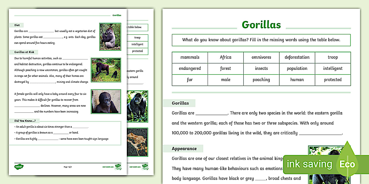 Gorillas Cloze Activity