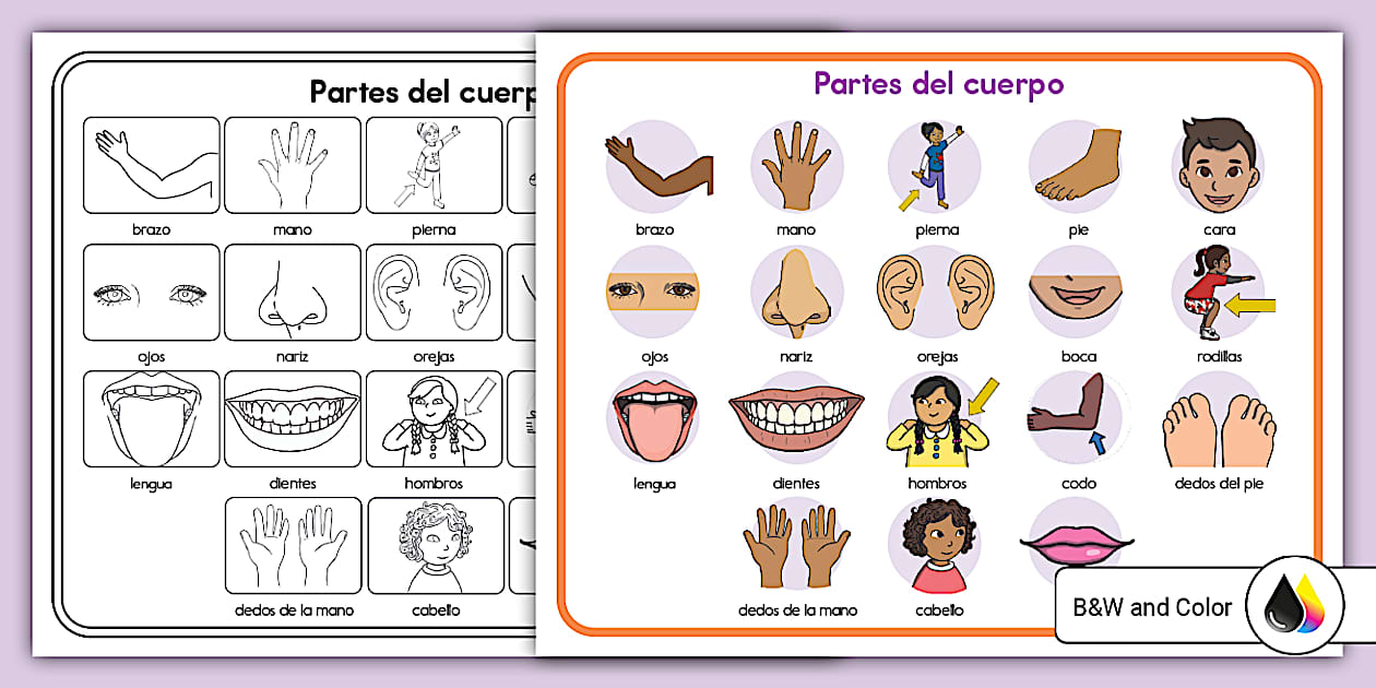 Tapete de palabras: Partes del cuerpo / Twinkl USA - Twinkl