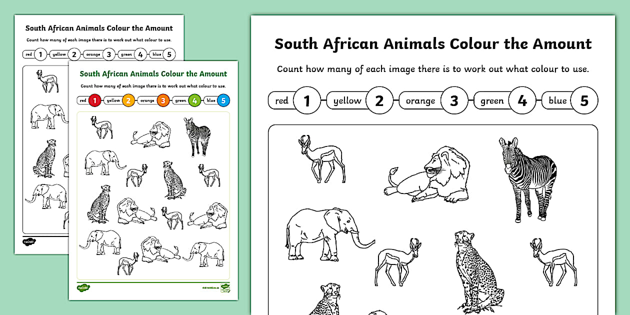 South African Animals Colour the Amount Worksheet - Twinkl