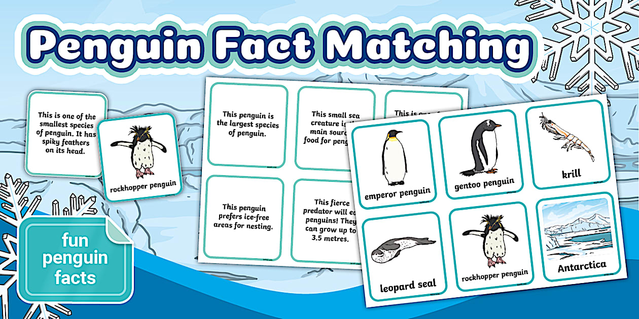 Penguin Facts Matching Cards