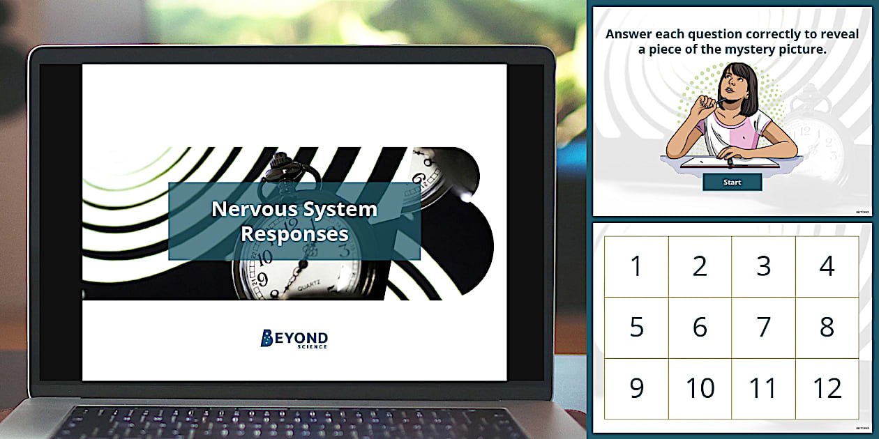 Nervous System Responses Quick Quiz (teacher made) - Twinkl