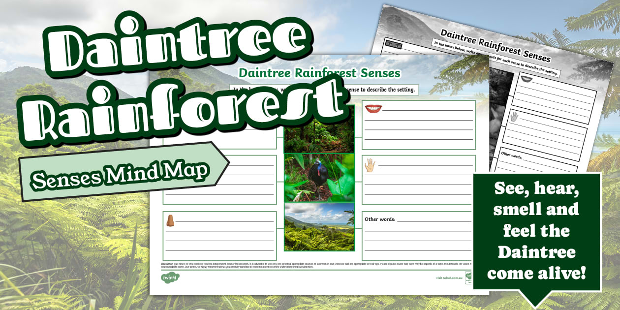 * NEW * Daintree Rainforest Senses Mind Map
