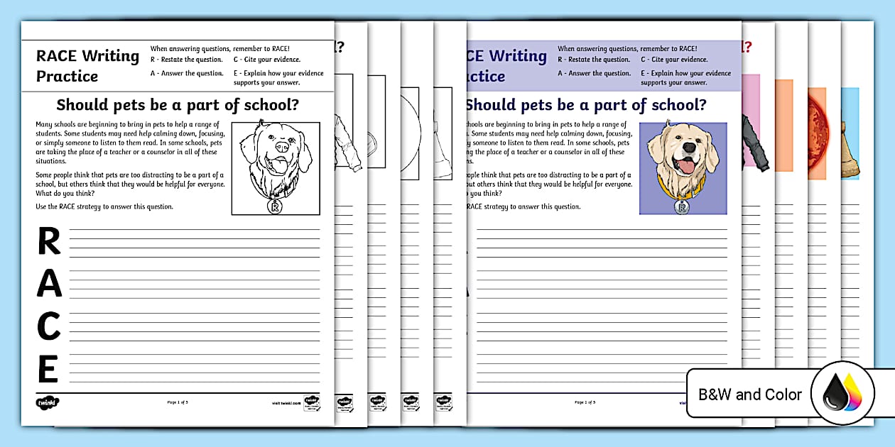 RACE Writing Worksheets | ELA | Twinkl USA (teacher made)