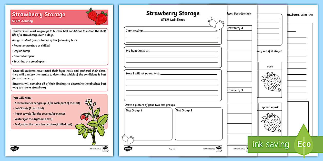 SA Strawberry Storage STEM Activity (teacher made) - Twinkl