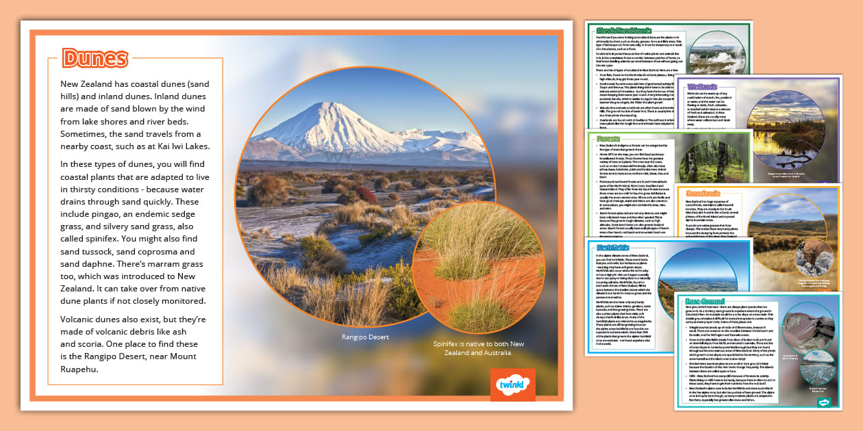New Zealand Biomes Display Posters