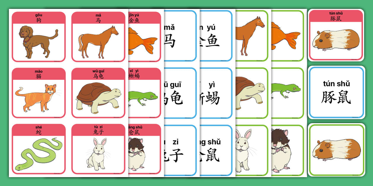Singapore Mandarin with Pinyin Pets Matching Cards - Twinkl