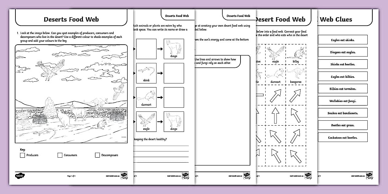 Deserts Food Web Activity (teacher made) - Twinkl