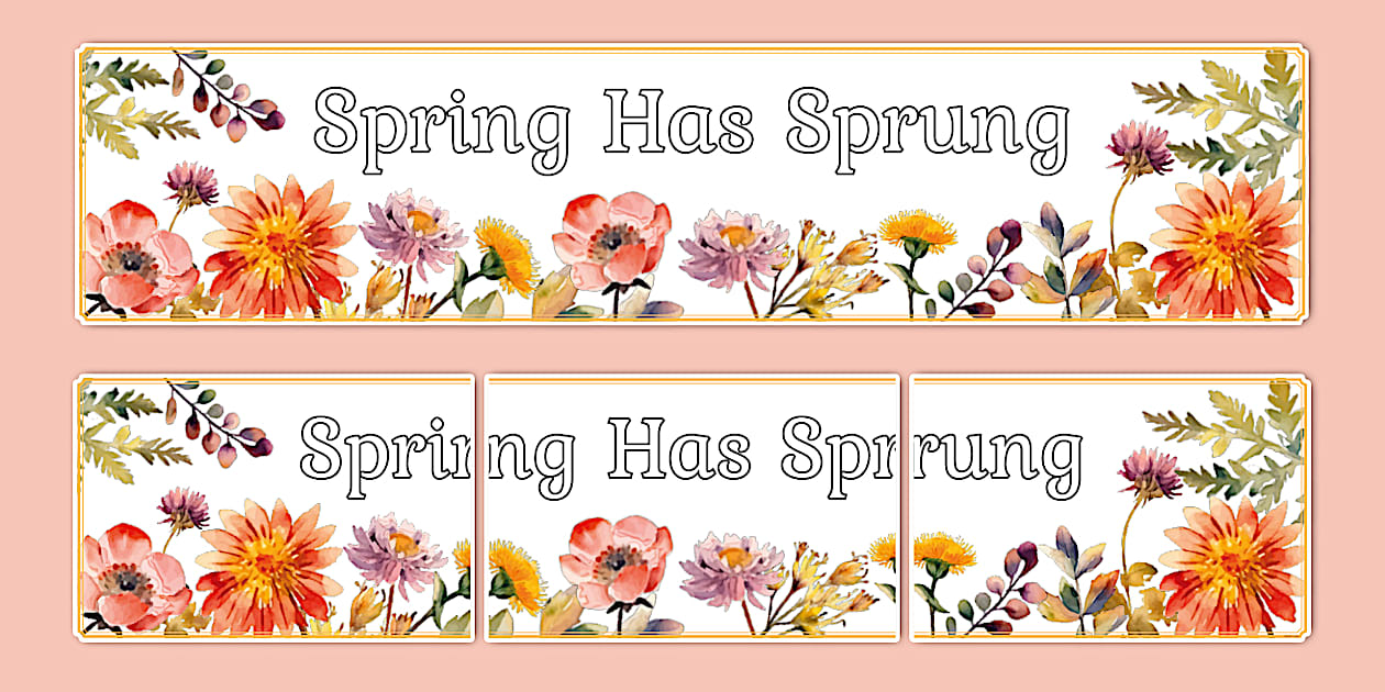 Wildflower Botanical Themed Spring Has Sprung Display Banner