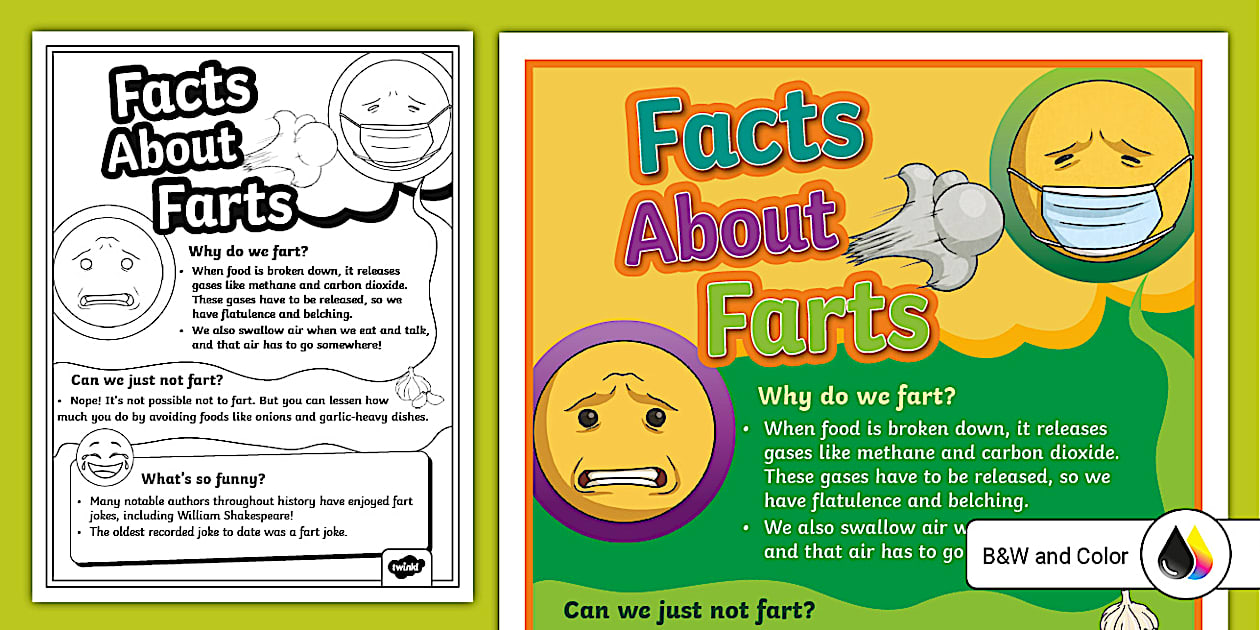 Facts About Farts Poster (teacher made) - Twinkl