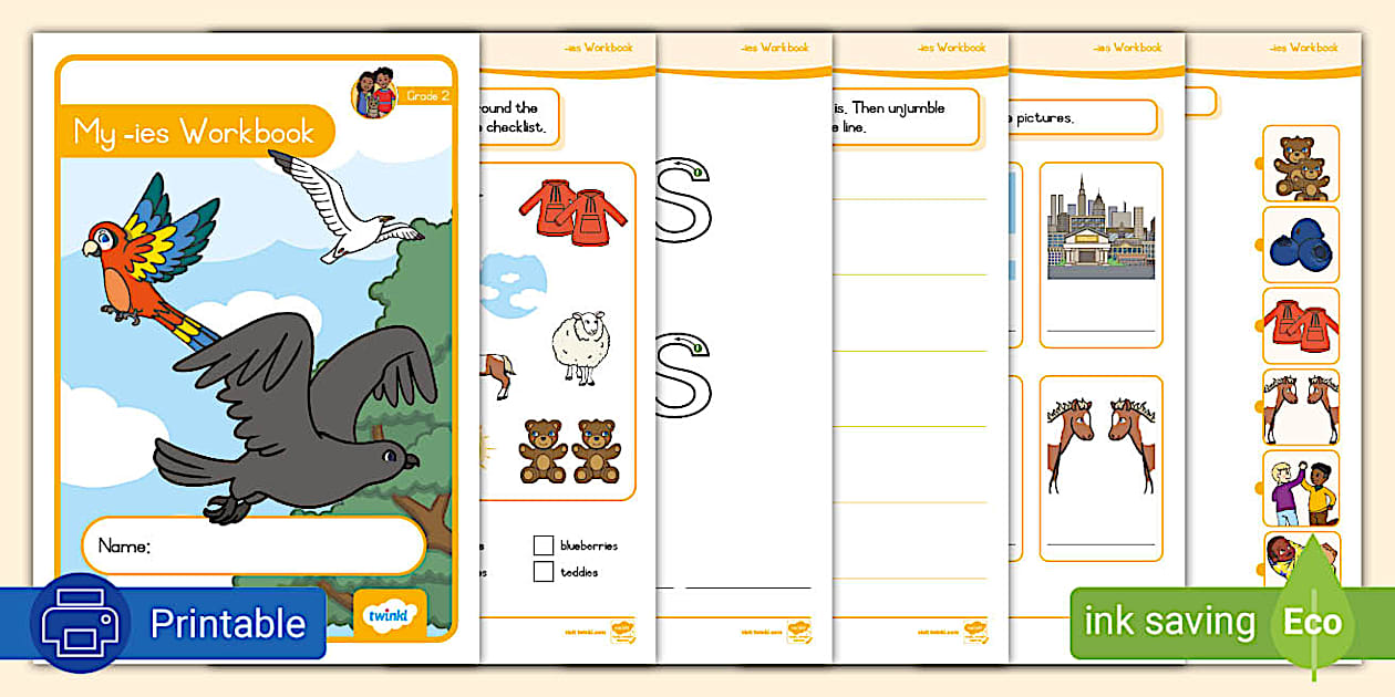 Grade 2 Phonics: -ies Workbook (Teacher-Made) - Twinkl