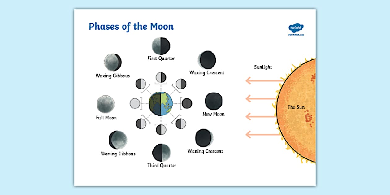 Southern Hemisphere Phases of the Moon Display Poster