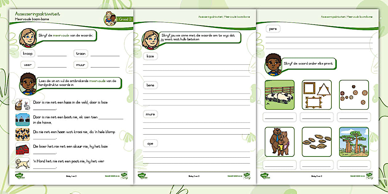 Graad 3 Klanke Assesseering Meervoude boom-bome - Twinkl