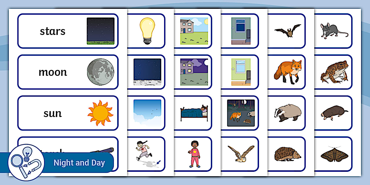 EYFS Night and Day Vocabulary Cards | EYFS Science - Twinkl