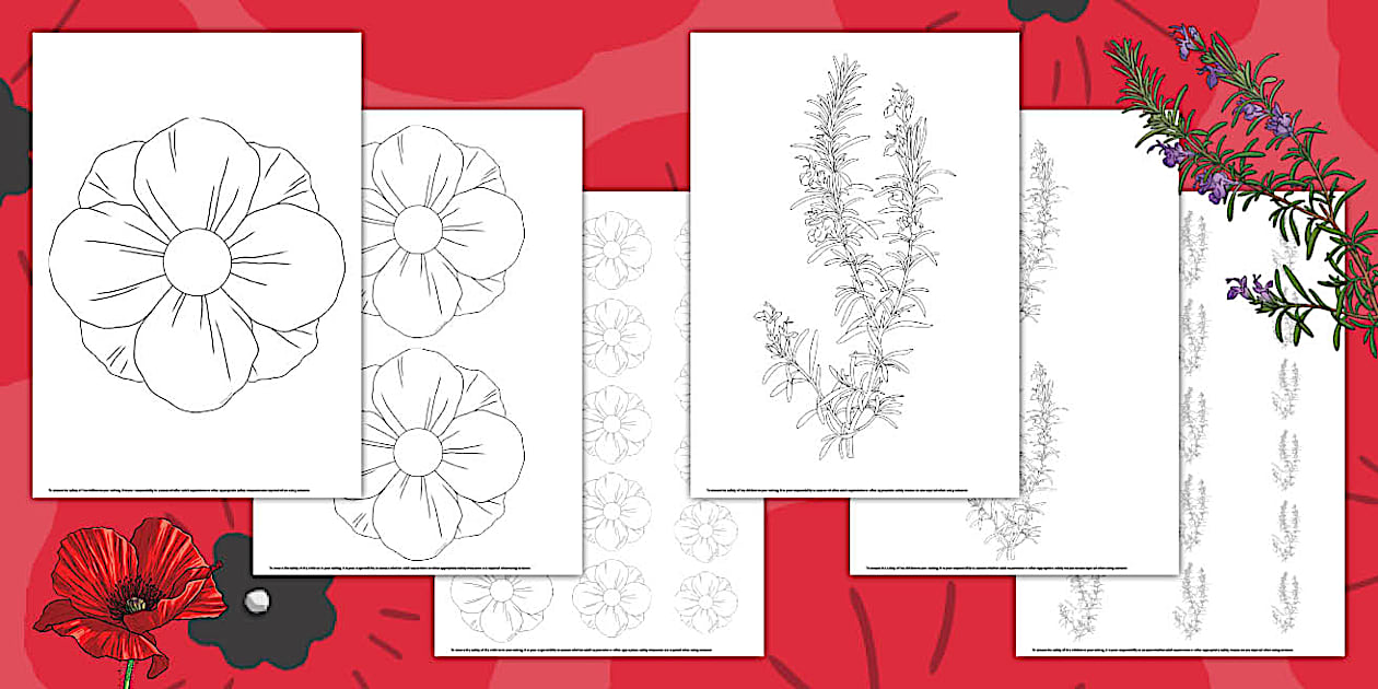 Anzac Day Template Pack (teacher made) - Twinkl