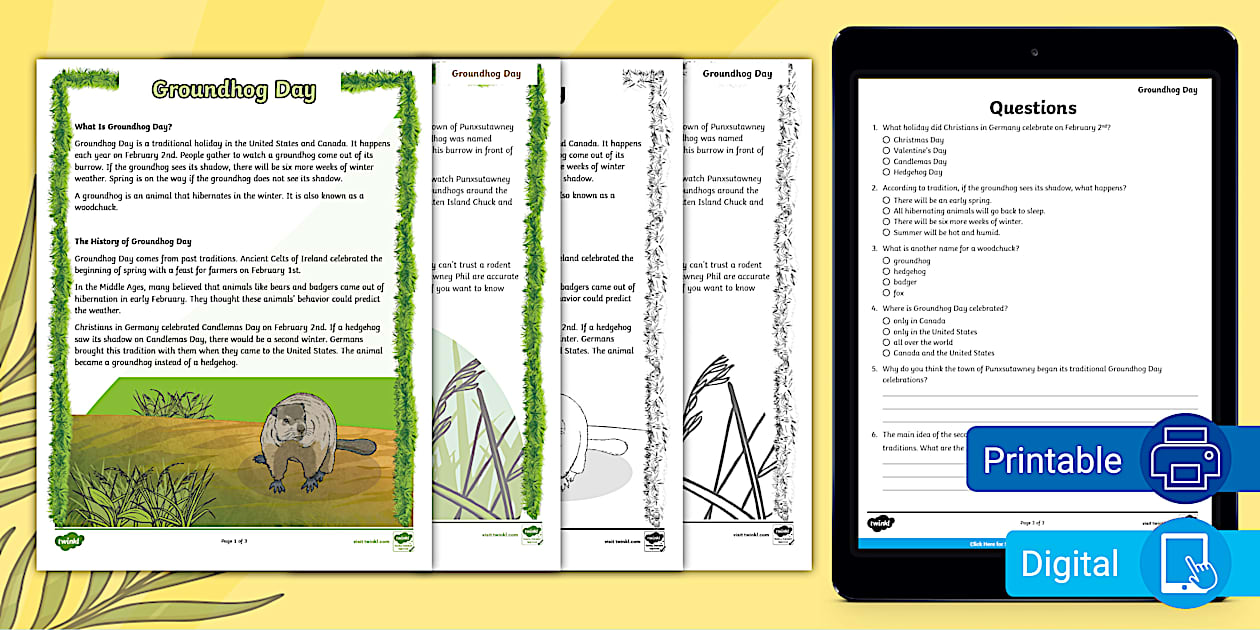 Groundhog Day Reading Comprehension Activity | Twinkl USA