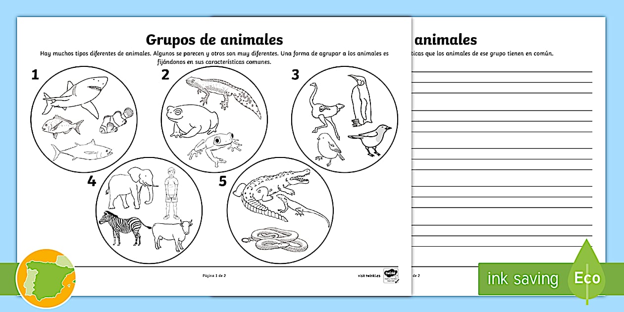grupos de animales Ficha de actividad (teacher made)