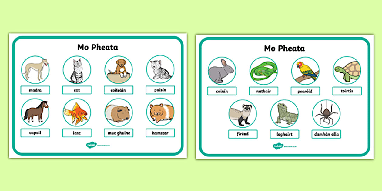 Cursive Mo Pheata Display Posters (teacher made) - Twinkl