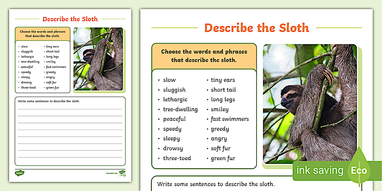 Describe the Sloth Writing Worksheet,sloth - Twinkl
