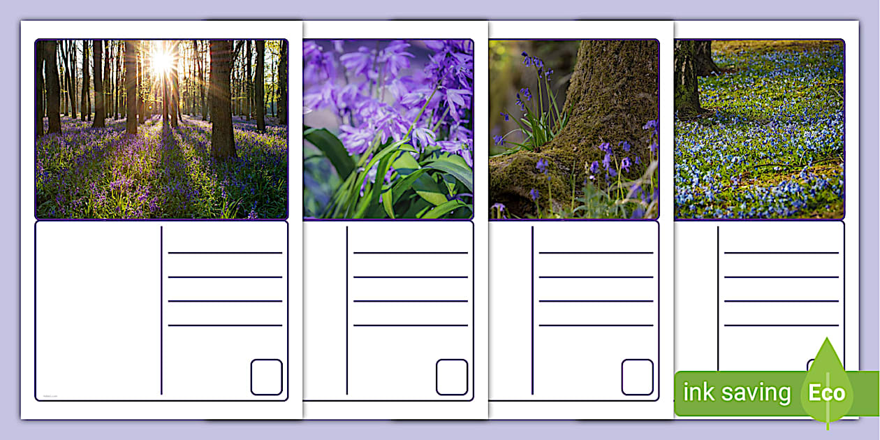 Bluebell Postcards (teacher made) - Twinkl