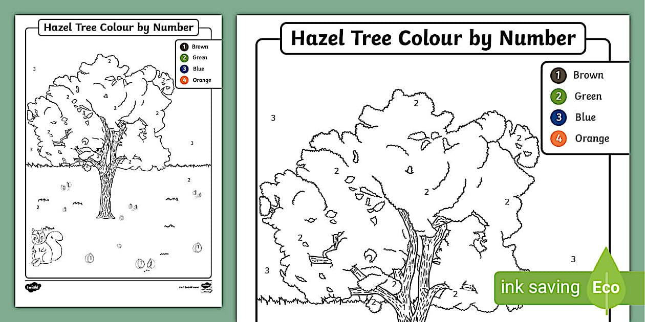 Hazel Tree Colour-by-Number Worksheet | Twinkl | KS1