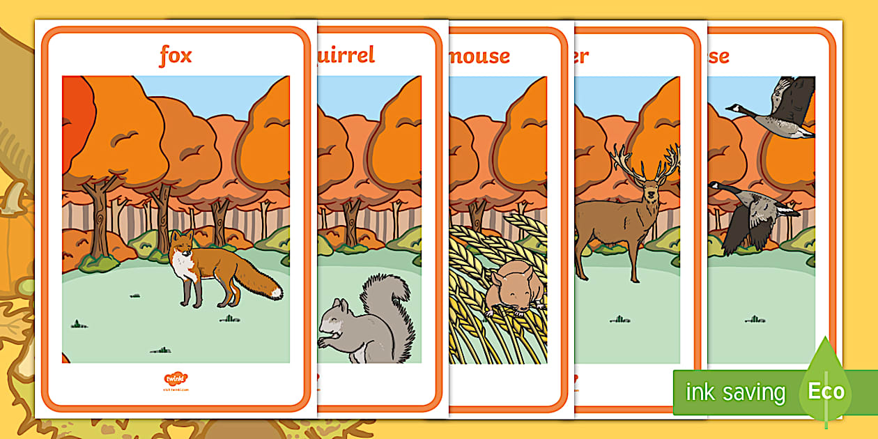 Pictures of Autumn Animals - Display Posters - KS1 - Twinkl