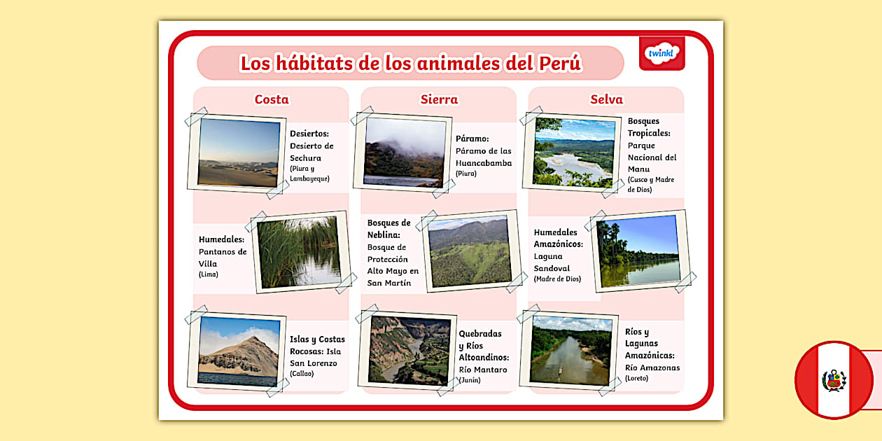 Lámina: Los hábitats de los animales del Perú | Twinkl