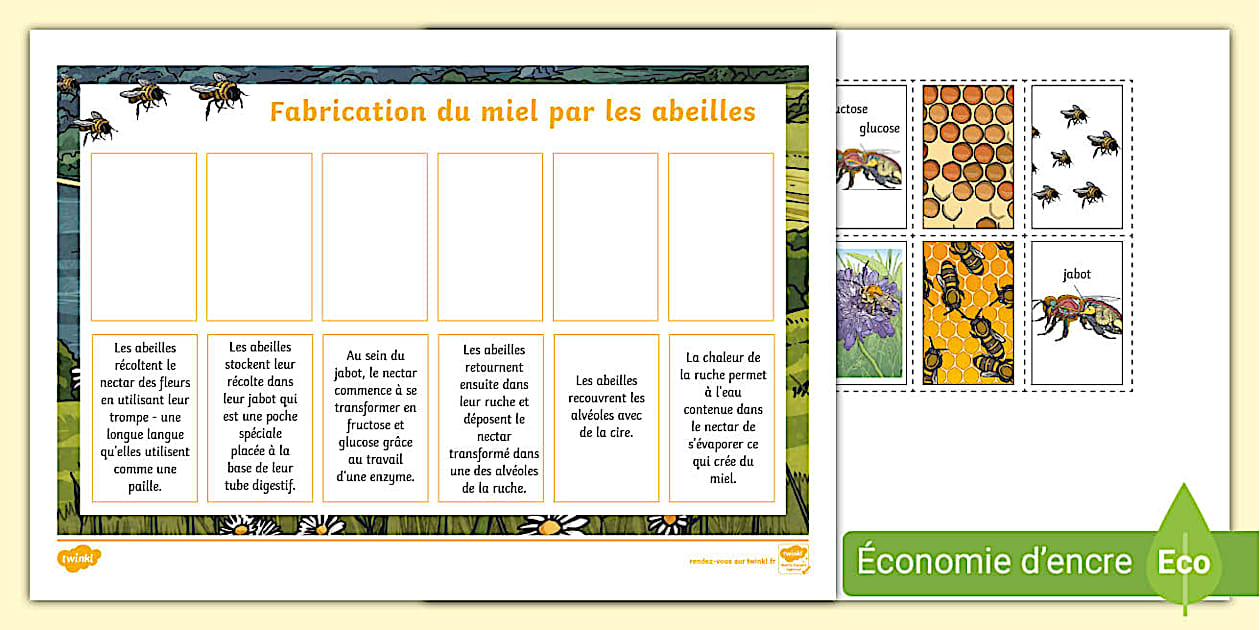 Activité de tri sur la fabrication du miel