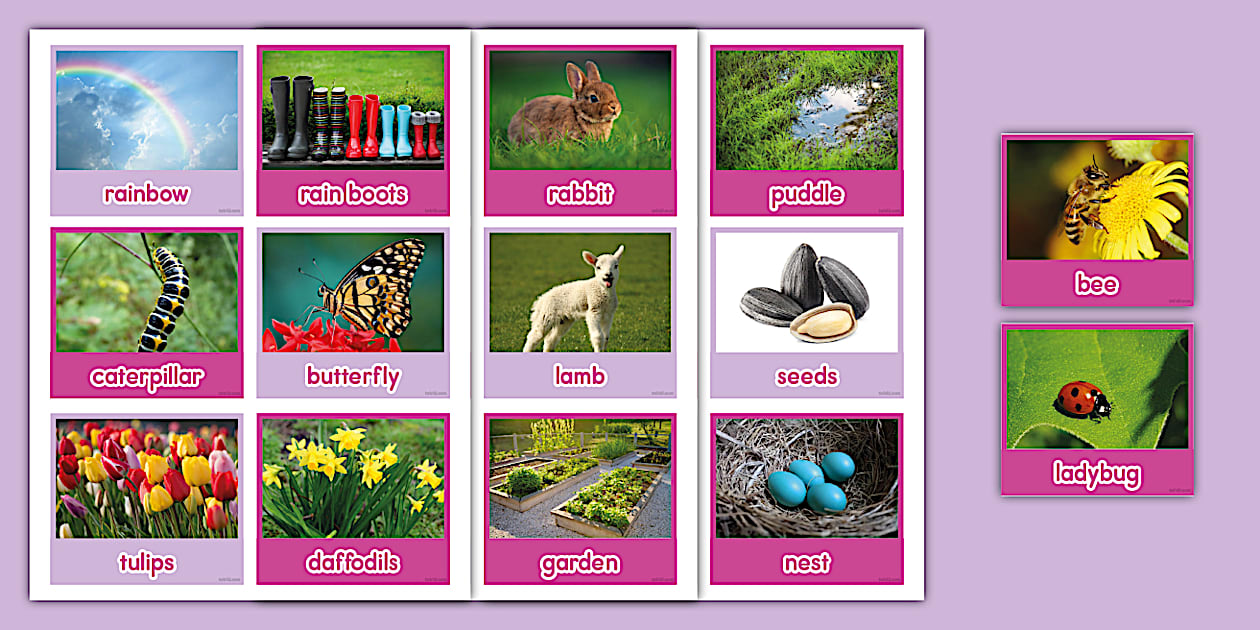 Spring Photo Flash Cards (Hecho por educadores) - Twinkl