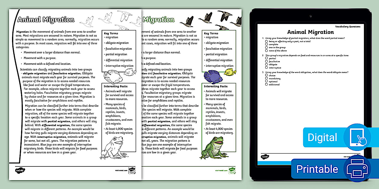 Seventh Grade Animal Migration Fact File and Vocabulary Questions