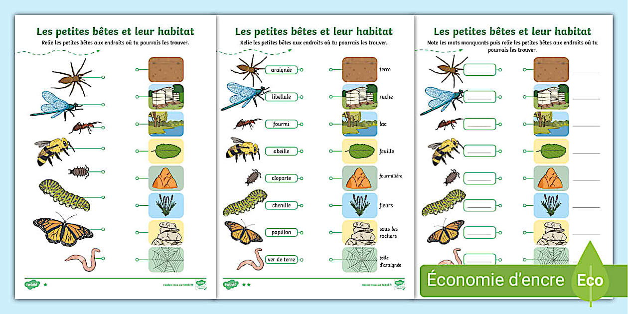 Activité différenciée sur les petites bêtes - Twinkl