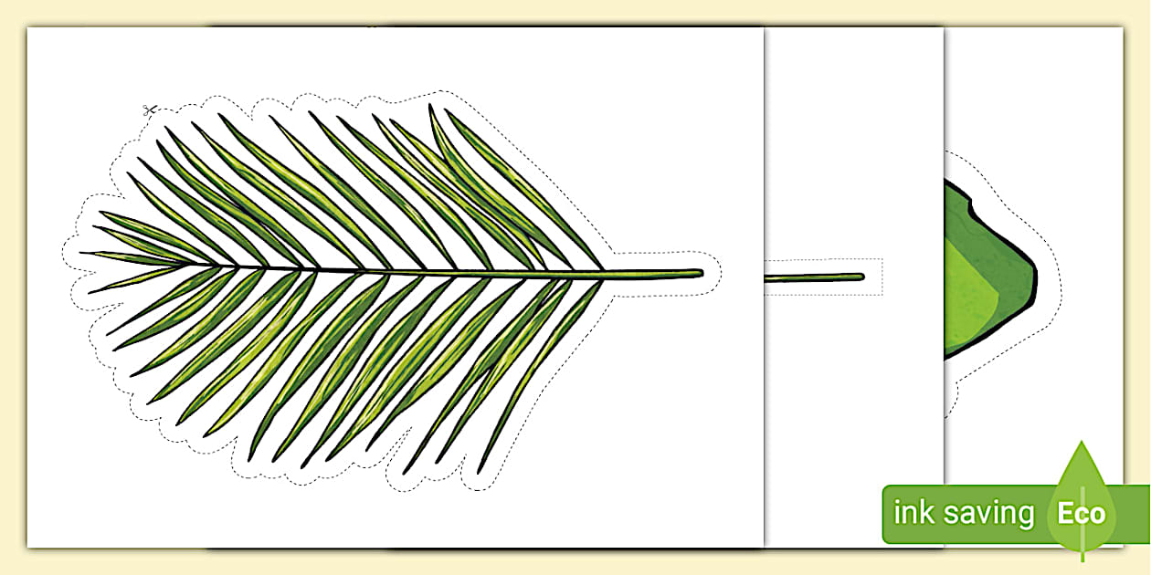 Palm Leaf Cut-Out (Hecho por educadores) - Twinkl