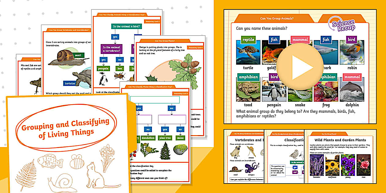 Step into Science: Y4: Autumn: Block 1: Grouping and Classifying Living