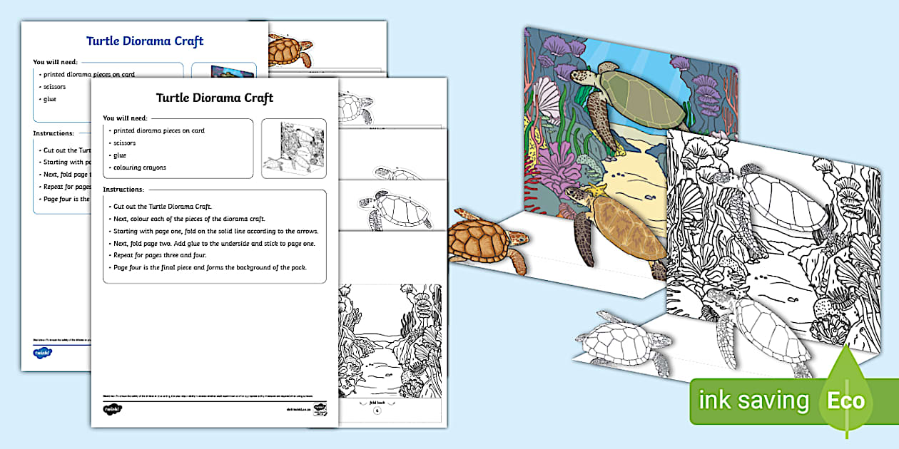 Turtle Diorama Craft (Hecho por educadores) - Twinkl