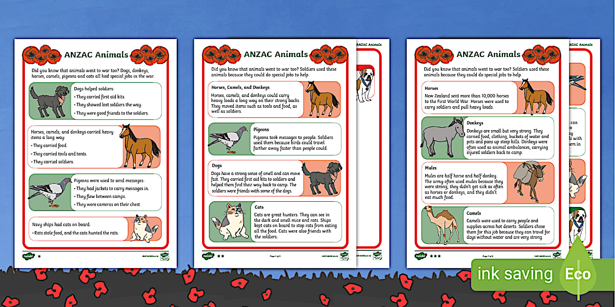 ANZAC Animals Differentiated Reading Comprehension - Twinkl