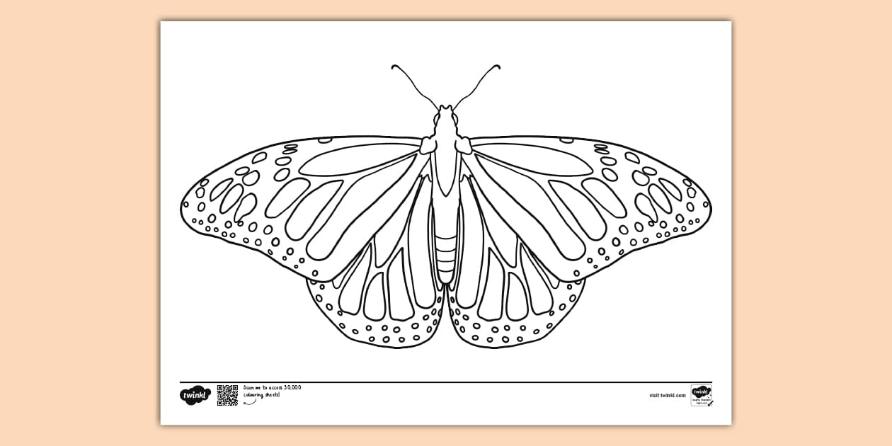 Butterfly Drawing | Colouring Pages for Kids