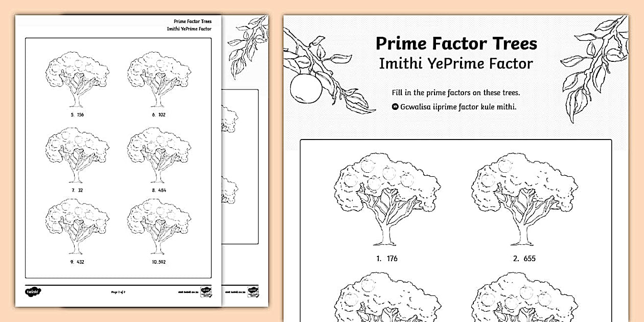 Prime Factor Trees Activity Sheet IsiXhosa (teacher made)