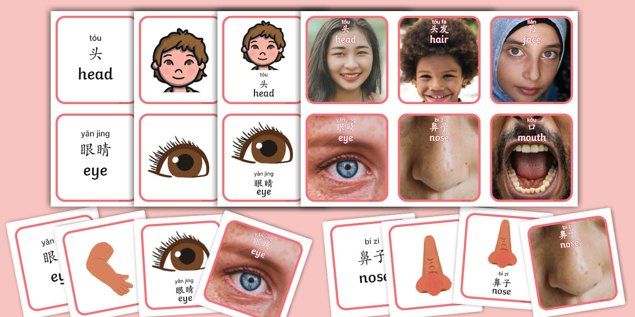Chinese Body Parts Matching Cards (Teacher-Made) - Twinkl