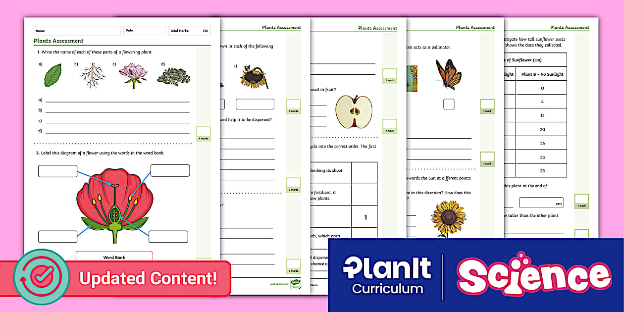 Y3 Plants: Assessment Test (teacher made) - Twinkl