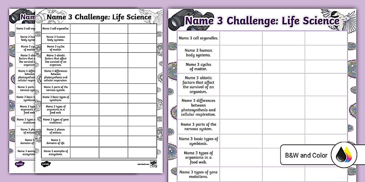 Sixth Grade Life Science Name 3 Challenge Worksheet - Twinkl