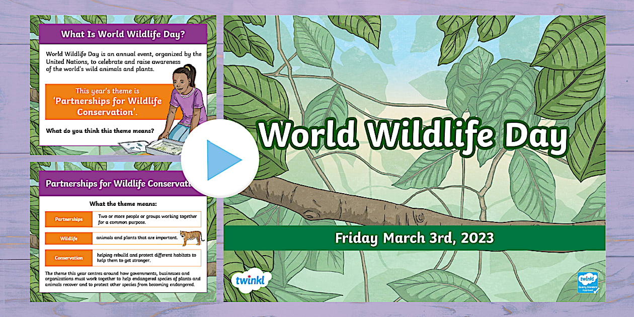 World Wildlife Day PowerPoint (teacher made) - Twinkl