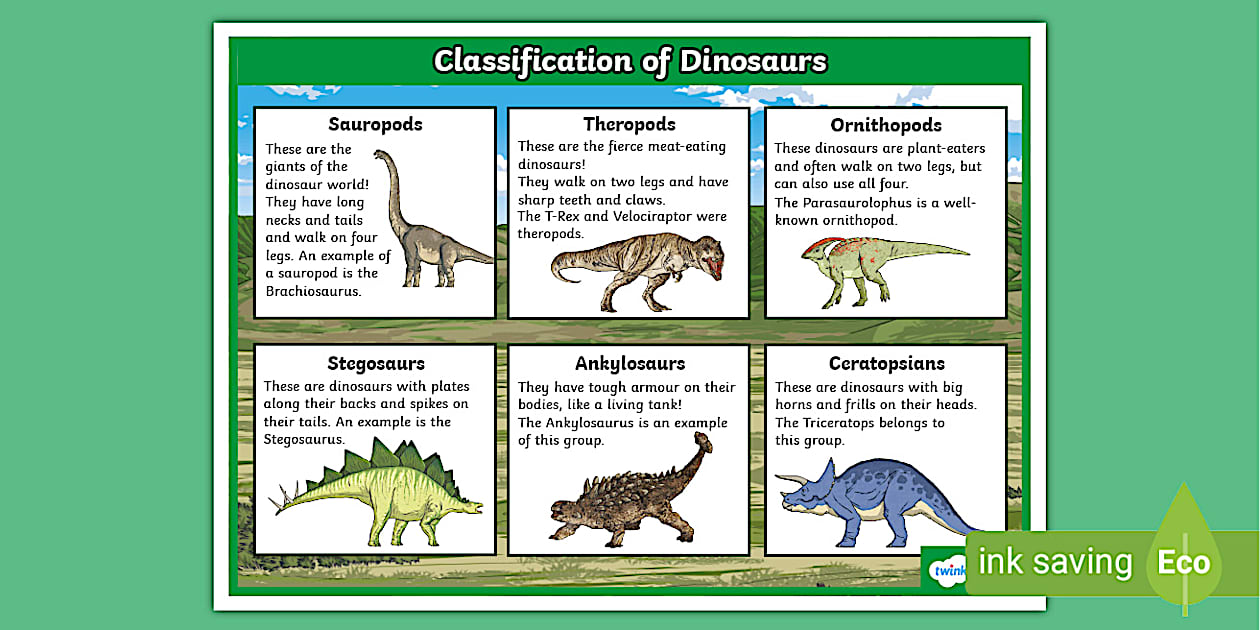 Classification of Dinosaurs Display Poster (teacher made)