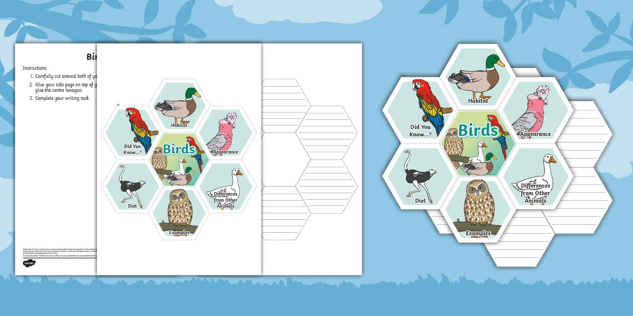 Birds Hexagon Writing Template (Teacher-Made) - Twinkl