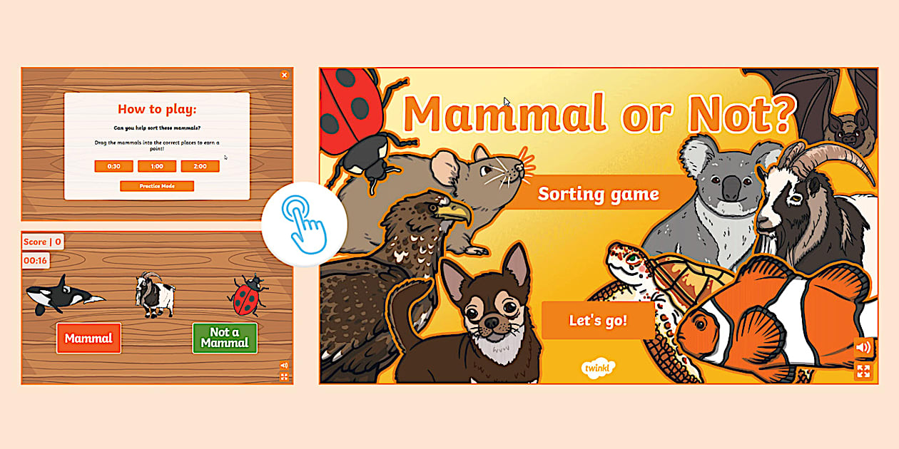 Mammal or Not? Interactive Sorting Activity (Teacher-Made)