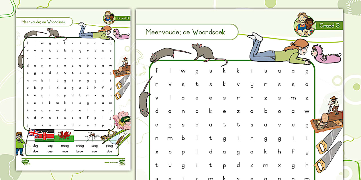 Graad 3 Klanke: Meervoude ae-vlae Woordsoek (teacher made)