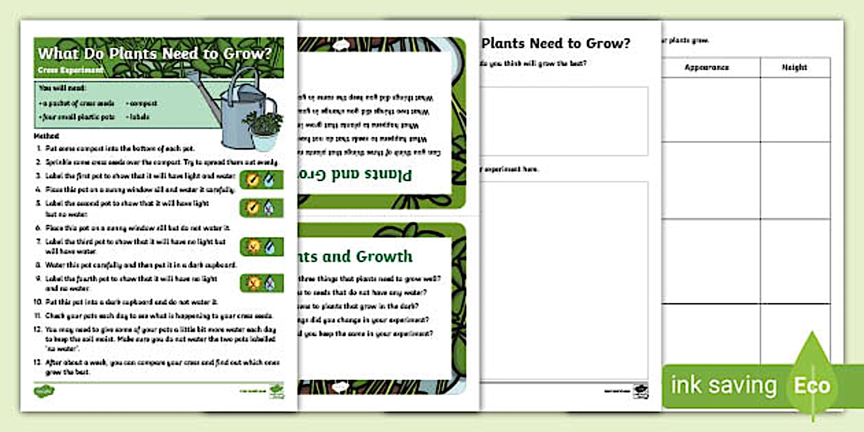 Editable Cress Experiment: What Do Plants Need to Grow?