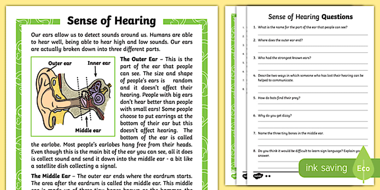 Sense of Hearing Differentiated Reading Comprehension Activity