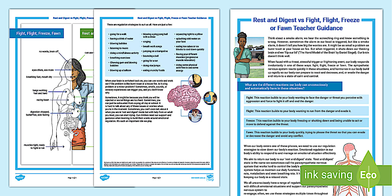 Rest and Digest vs Fight, Flight, Freeze or Fawn Teacher Guidance