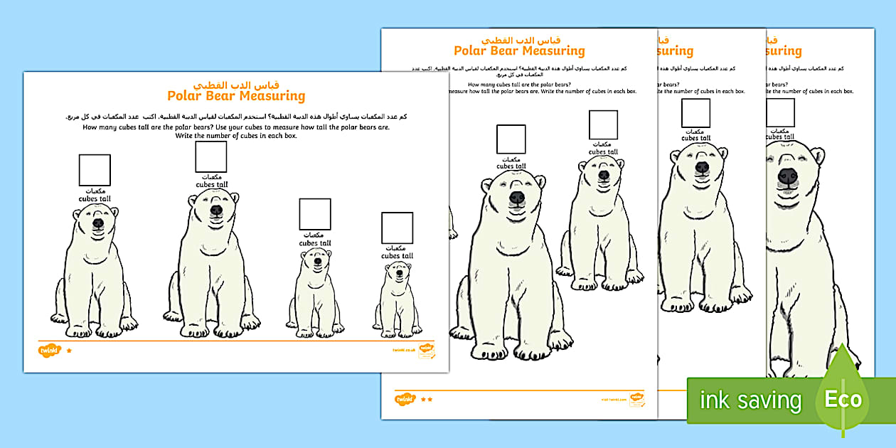 Polar Bear Measuring in Cubes Differentiated Worksheet / Worksheets