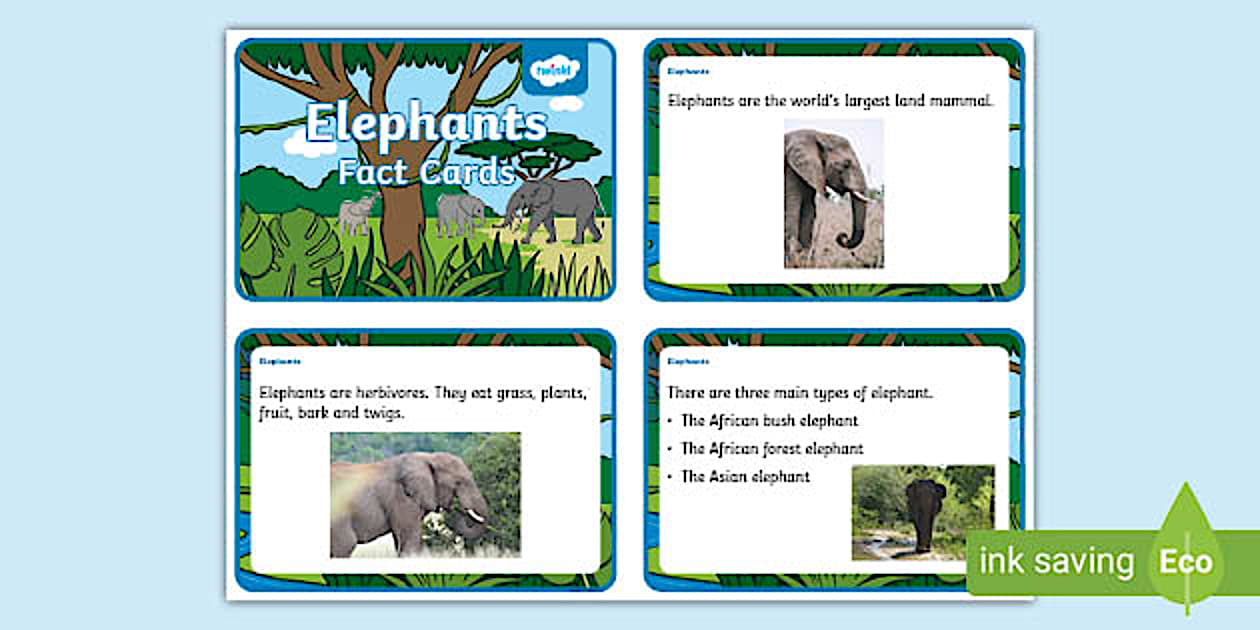 Elephant Fact Cards - Twinkl - KS1 - Twinkl